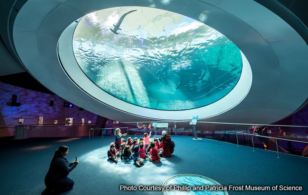 Frost Science Museum STEM Trips